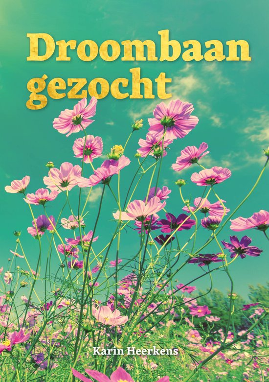 Droombaan gezocht, Karin Heerkens | 9789464911510 | Boeken | bol