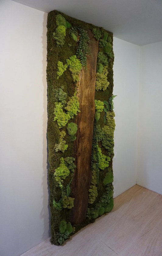 Forest, 3D mos schilderij - wandpaneel | bol