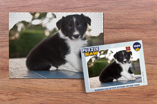 Puzzel Border collie pup zittend op een tafel - Legpuzzel - Puzzel 1000 ...