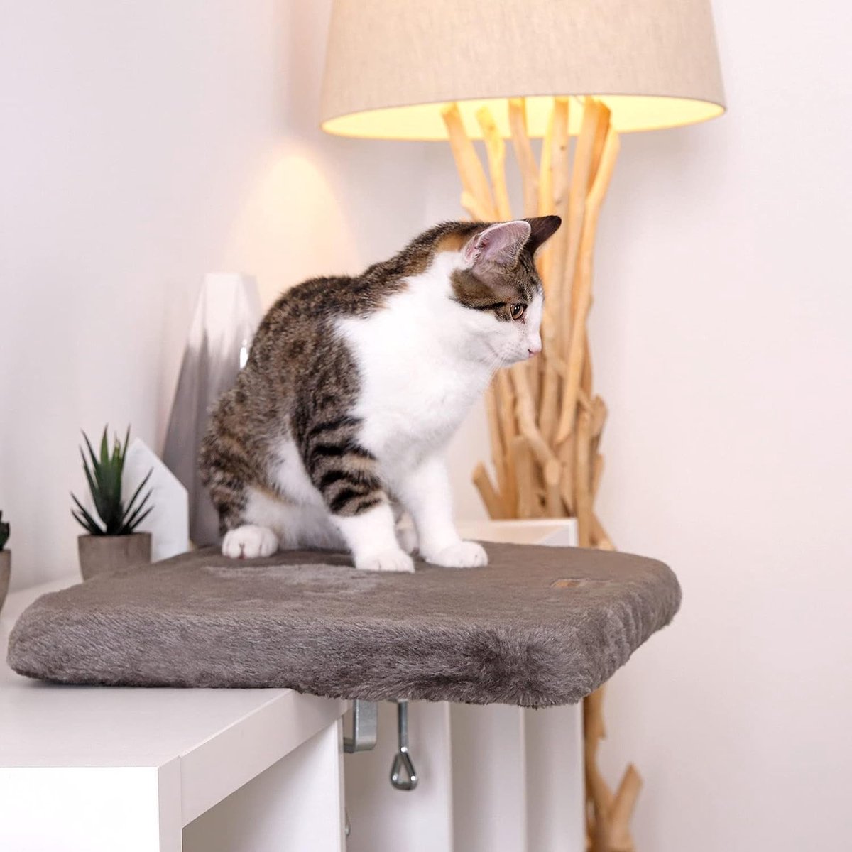 Planche de couchage pour rebord de fenêtre Coin détente pour chat Coin ...
