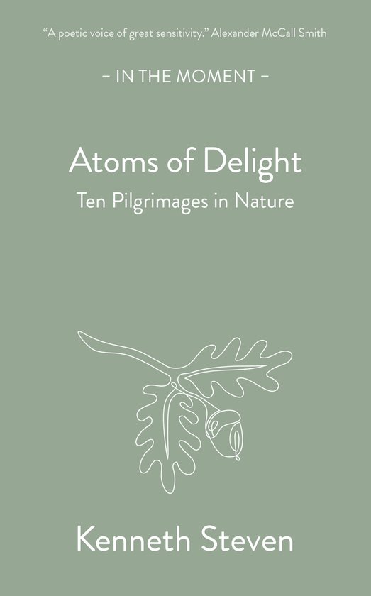 In the Moment- Atoms of Delight, Kenneth Steven | 9781915089939 | Boeken | bol
