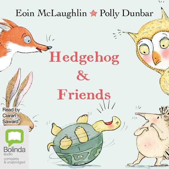 Hedgehog & Friends, Eoin Mclaughlin | 9781038661371 | Boeken | bol.