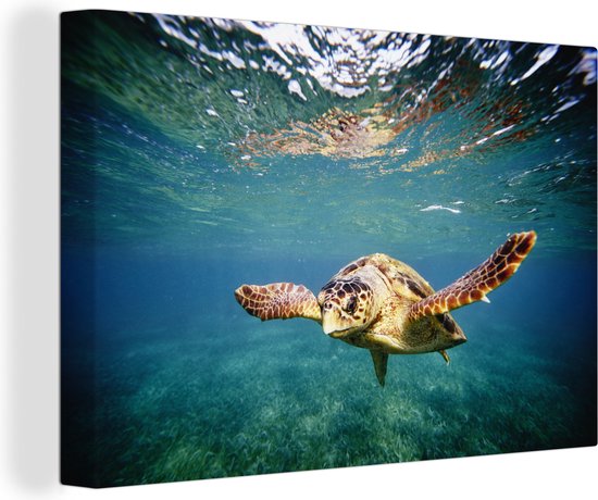 Canvas schilderij 140x90 cm - Wanddecoratie Schildpad - Water - Blauw - Muurdecoratie... | bol