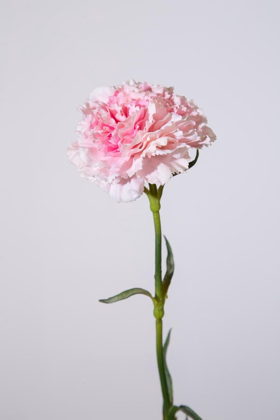 Anjer - zijden bloem - roze - topkwaliteit - 53cm | bol