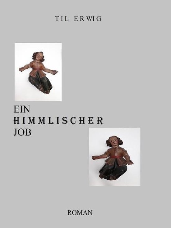 EIN HIMMLISCHER JOB (ebook), Til Erwig | 9783742769114 | Boeken | bol.com
