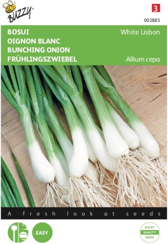 2 stuks Bosui White Lisbon | bol