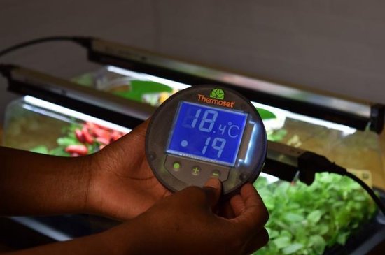 Propagator Geopod (large) Verwarmde kweekbak Verwarmd met geïntegreerde ...