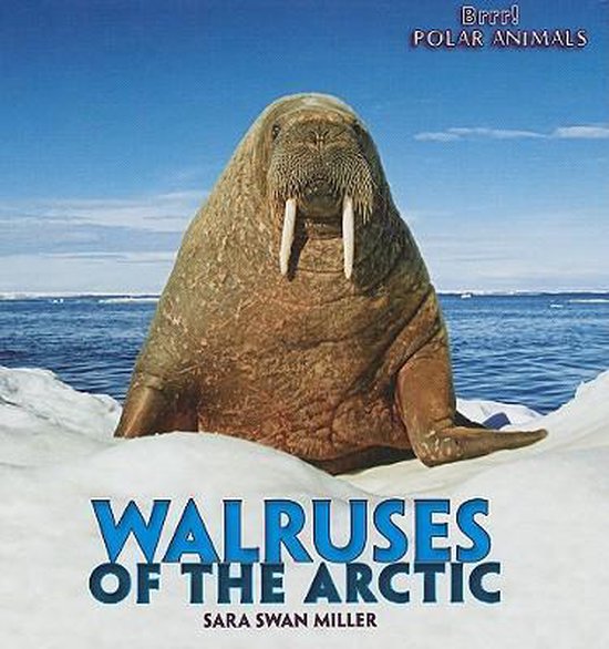 Brrr! Polar Animals- Walruses of the Arctic, Sara Swan Miller ...