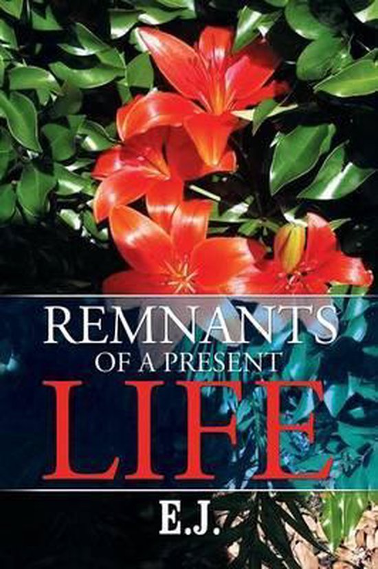 Remnants of a Present Life, E.J. | 9781503580329 | Boeken | bol.com