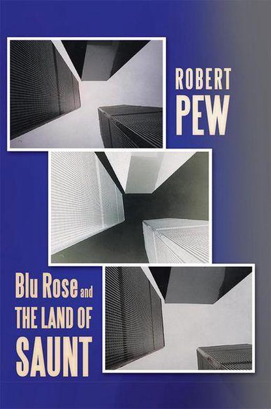 Blu Rose and the Land of Saunt (ebook), Robert Pew | 9781483677668 ...