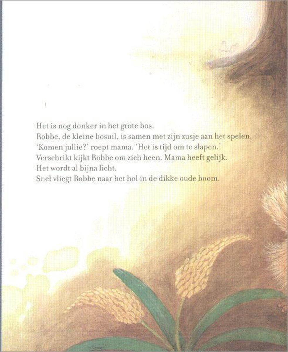 Licht uit, Guy Daniëls | 9789044807080 | Boeken | bol