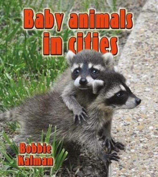 Baby Animals in Cities, Bobbie Kalman | 9780778710295 | Boeken | bol.com