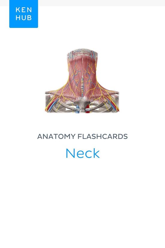 Anatomy flashcards: Neck (ebook), Kenhub | 9783962981280 | Boeken | bol