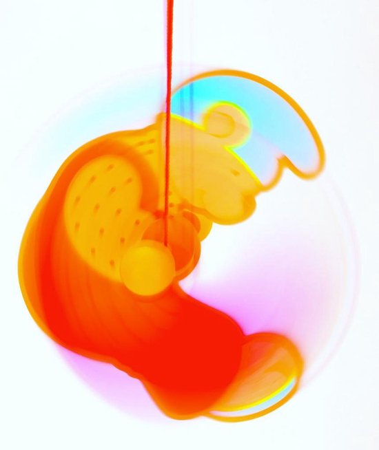 Goki Jojo beer 21,5cm | bol