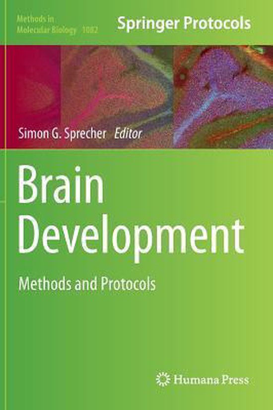Brain Development | bol.com