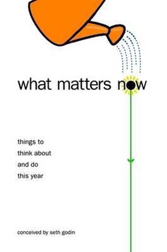 What Matters Now, Seth Godin | 9780557255764 | Boeken | bol