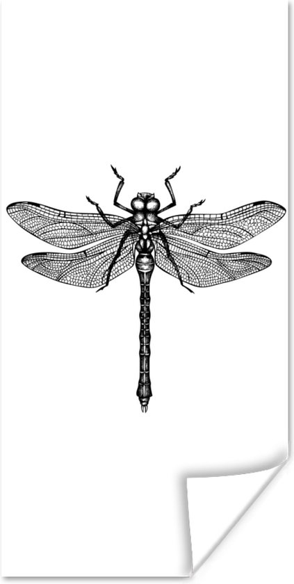 Poster Libelle - Insecten - Retro - Zwart wit - 60x120 cm | bol