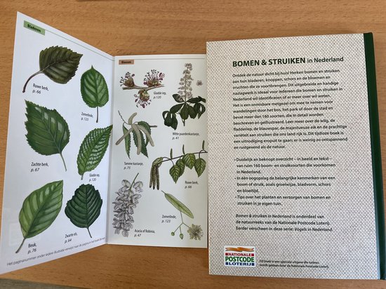 Bomen en struiken in Nederland inclusief de Veldgids, Allen Coombes ...