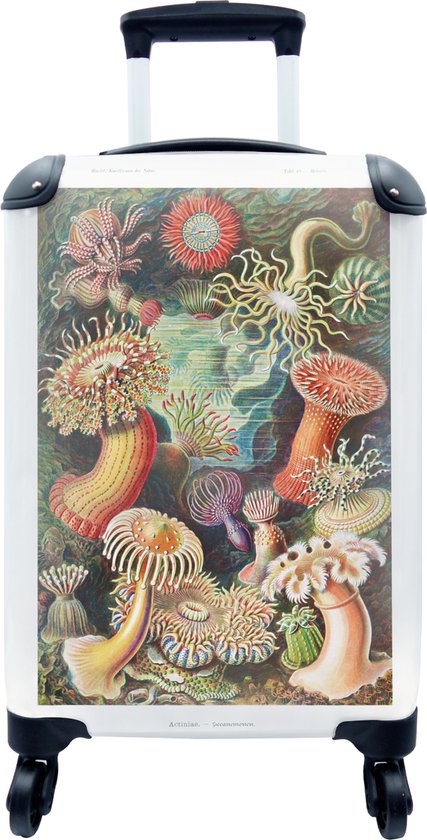 MuchoWow® Koffer - Ernst Haeckel - Anemoon - Retro - Natuur - Planten ...