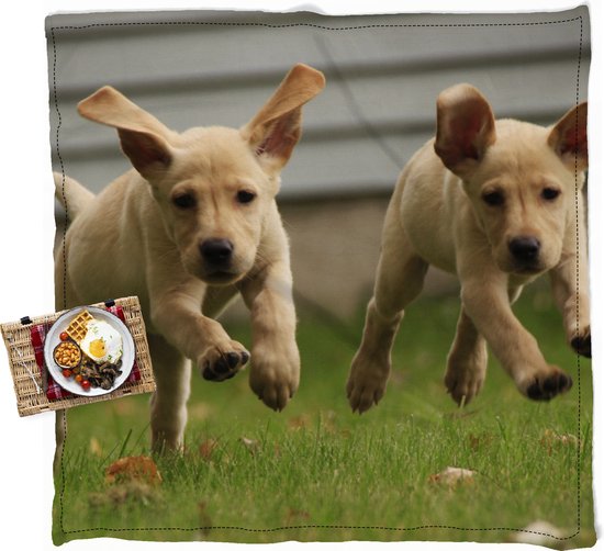 Picknickkleed - Buitenkleed - Twee gele Labrador Retrievers lopen door ...