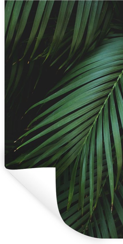 Muurstickers - Sticker Folie - Palmbladeren - Palmen - Tropical ...
