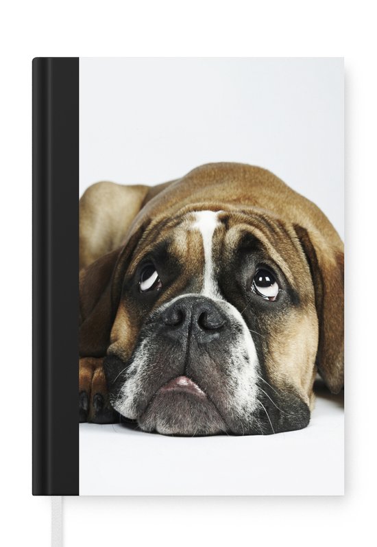 Carnet - Cahier d'écriture - Chien - Animaux domestiques - Wit - Carnet ...