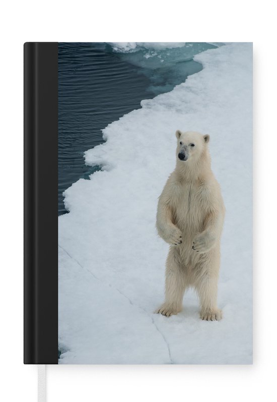 Carnet - Carnet d'écriture - Glace - Ours polaire - Hiver - Carnet ...