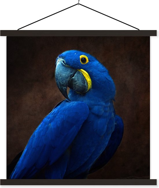 Portrait d'un ara hyacinthe sur fond gris poster scolaire lattes noires ...