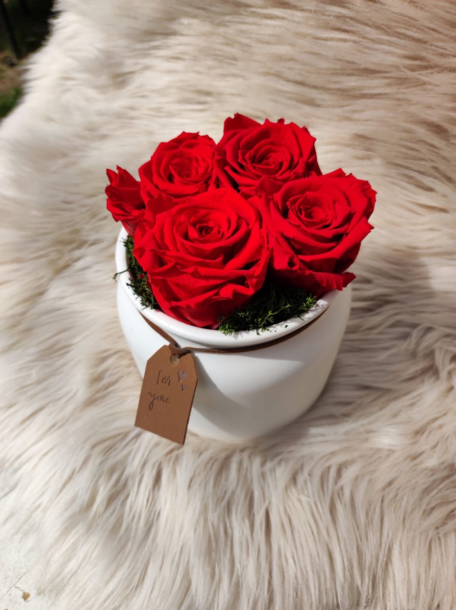 For you/Voor jou - gevriesdroogde rozen rood - geschenk - geschenk voor ...