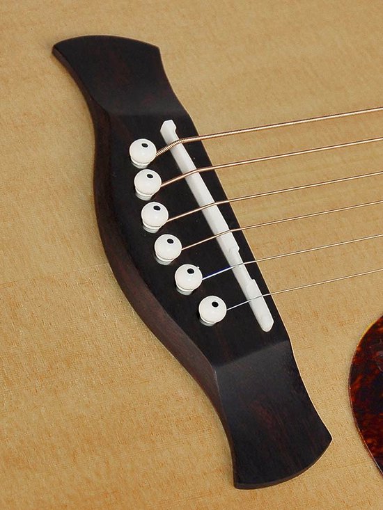 Semi akoestische gitaar Richwood Master Series Auditorium A-65-CEVA | bol