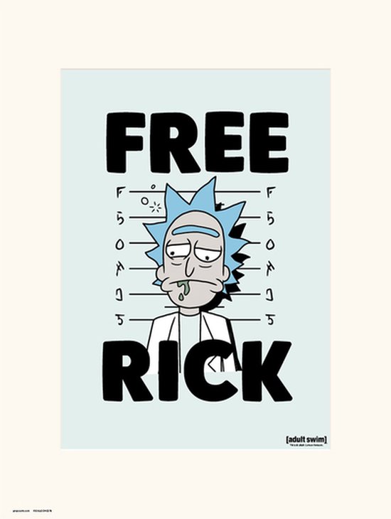 RICK AND MORTY FREE RICKY - Art Print 30x40 cm | bol