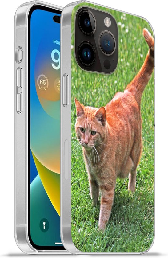 Geschikt voorApple Iphone 14 Pro Max hoesje - Kat - Rood - Kater ...
