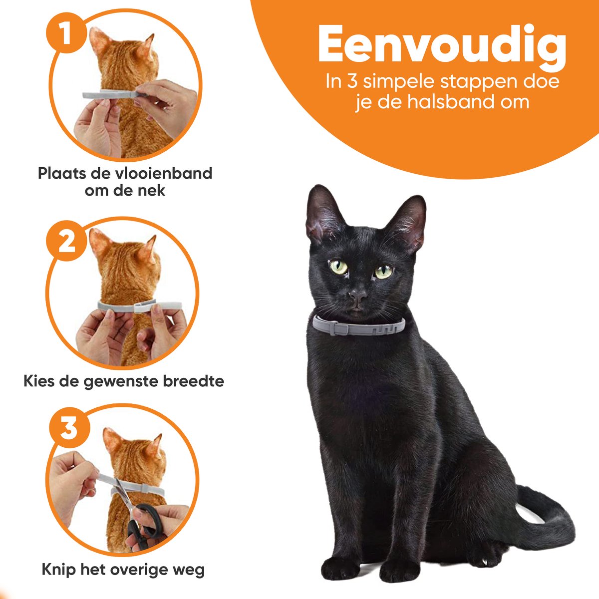 Nafurapets® Vlooienband voor Kat – Anti Vlooien – Teken Band – 100% ...