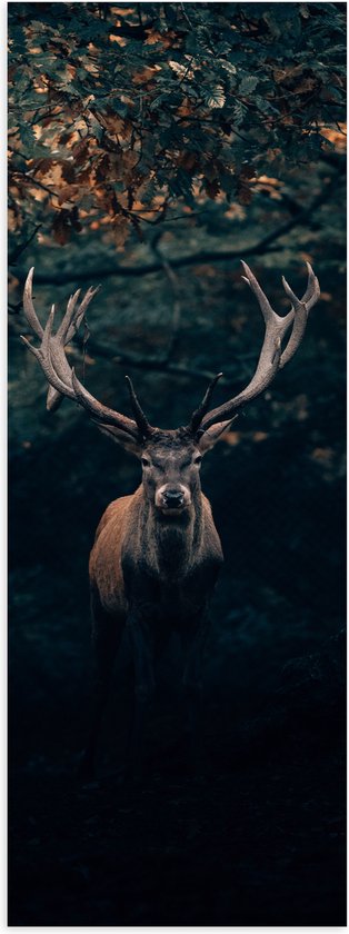 WallClassics - Poster (Mat) - Hert met Groot Gewei tussen de Bomen ...