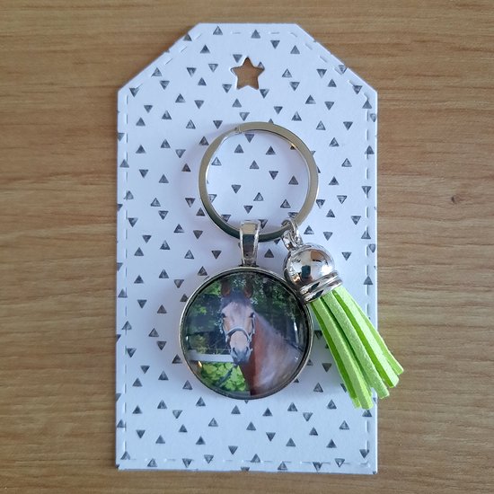 Sleutelhanger met fotohanger (eigen foto) van jou dier (paard, hond ...
