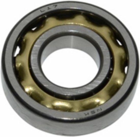 Prolenta Premium - Lager NSK L17 | bol