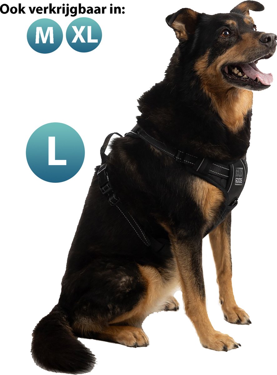 Y-Tuig Hond: De 17 Beste In 2023 [Verstelbaar!] Je Hebt Verschillende Y Hondentuigen ...