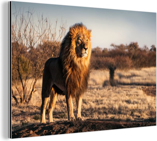 Décoration murale Métal - Aluminium Peinture Industrielle - Lion ...