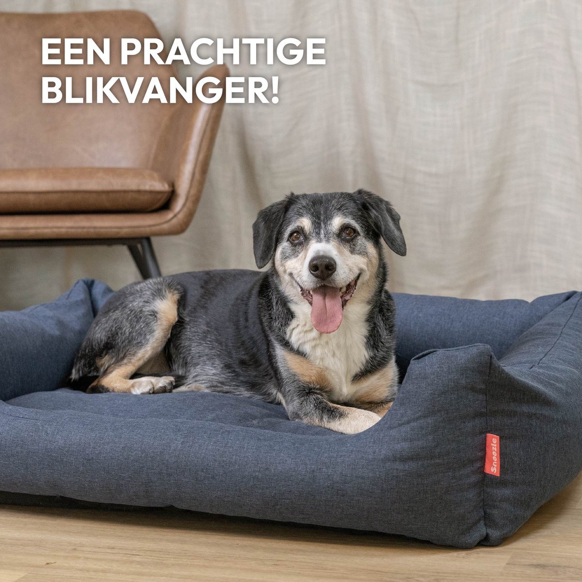 Snoozle Hondenmand - Zacht en Luxe Hondenkussen - Hondenbed - Wasbaar ...