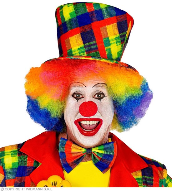Widmann - Clown & Nar Kostuum - Kleurige Hoed Clown Geblokt ...