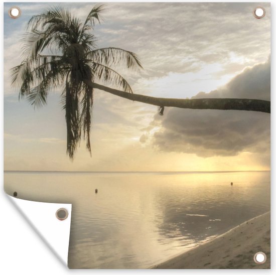 Tuin poster Overhangende palmboom op het strand van Mo'orea - 200x200 ...