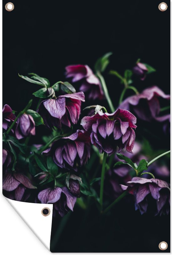 Décoration de jardin Fleurs - Clair - Rose - 40x60 cm - Affiche de ...