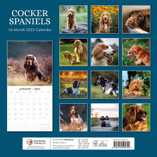 Engelse Cocker Spaniel Kalender 2023 | bol.com