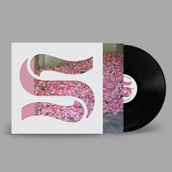 Braxe & Falcon - Step By Step (LP), Braxe & Falcon | Muziek | bol