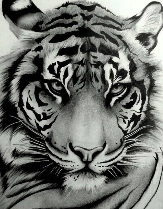 Diamond Painting Wise Look 50 x40 cm ronde steentjes met kader | bol