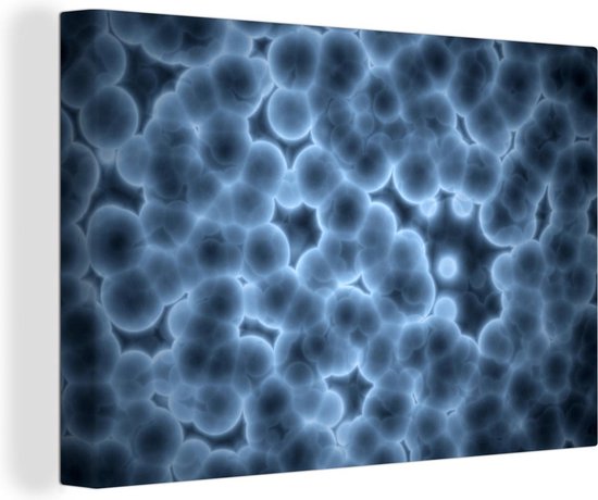 Canvas Schilderij Cellen uit het menselijk lichaam - 60x40 cm ...