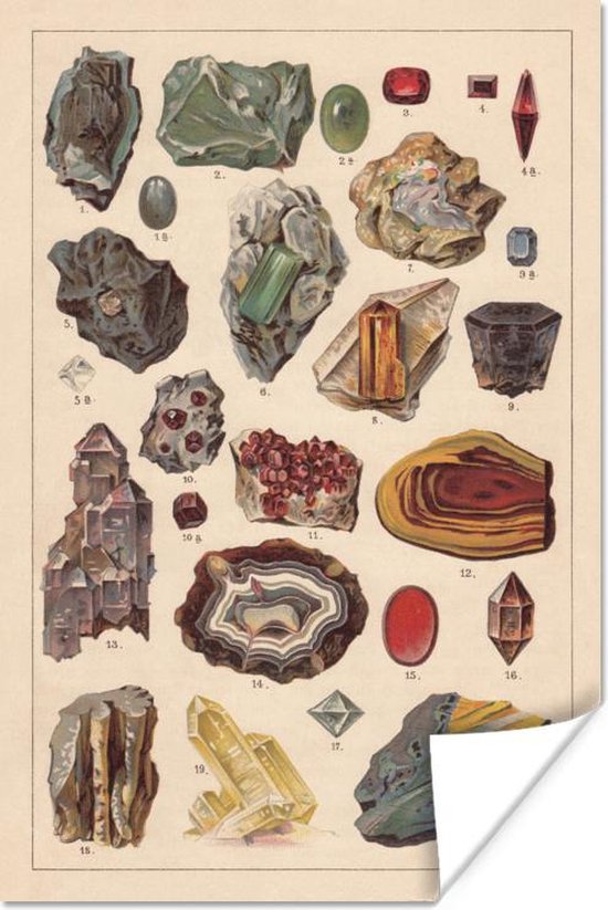Poster Een historische illustratie van edelstenen - 80x120 cm | bol.com