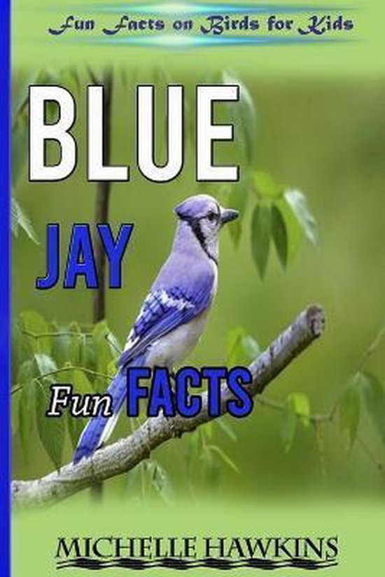 Fun Facts on Birds for Kids- Blue Jays Fun Facts, Michelle Hawkins ...