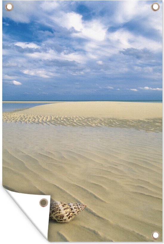 Tuindecoratie Een kroonslak op een prachtig wit strand in Nationaal ...