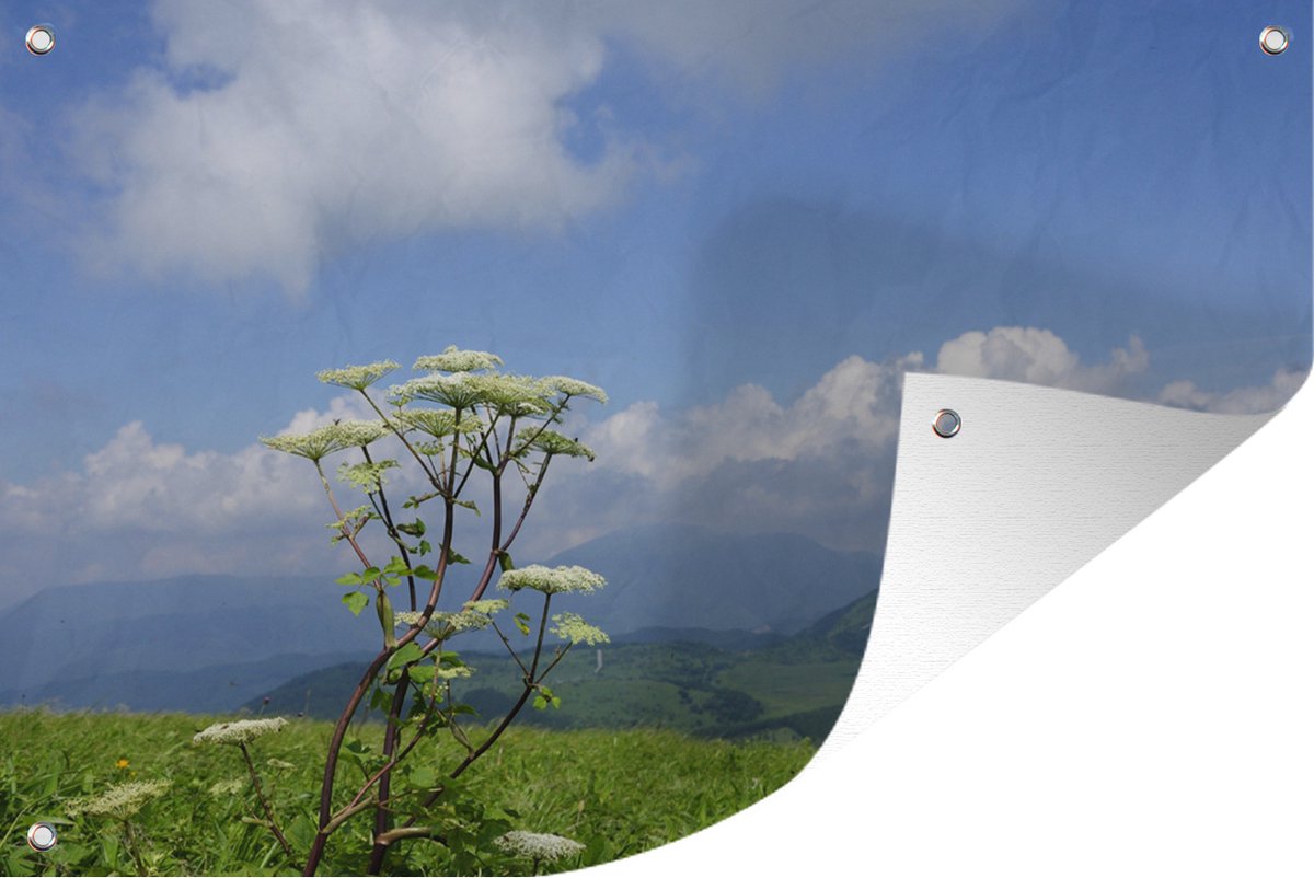 Tuinposter - Tuindoek - Tuinposters buiten - Een groene wei vol met ...